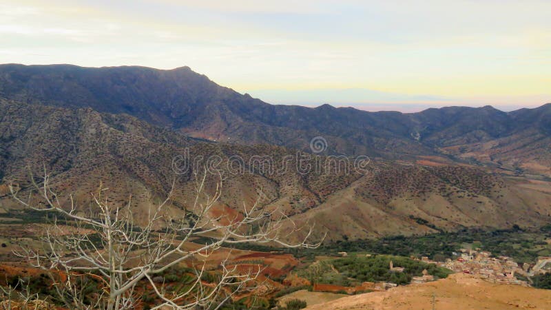Nature maroc forest debdou stock image. Image of debdou - 269089833