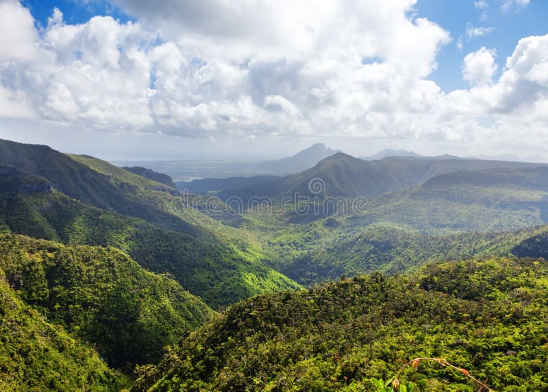 Nature of Mauritius. Wood and Mountains Stock Image - Image of green ...