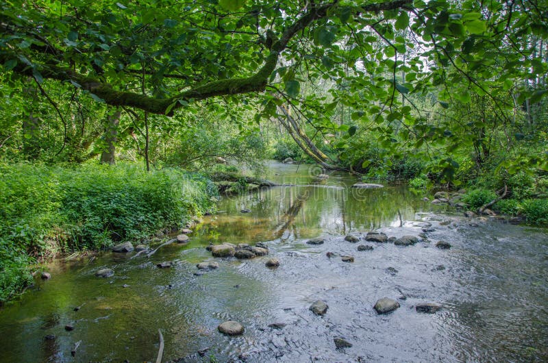 Nature stock photo. Image of water, trees, bridge, midsummer - 48187150