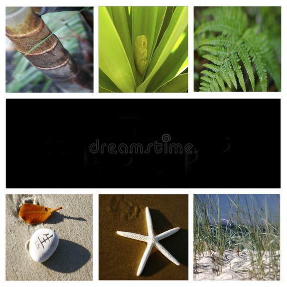 Nature montage stock image. Image of text, backgrounds - 6167777