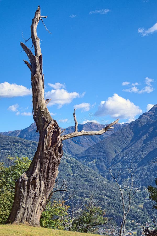 Nature Monument stock photo. Image of blue, panoramic - 101127976