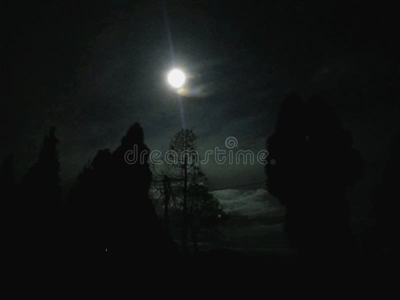 Night Time Moon Capture with Nature Stock Image - Image of capture ...