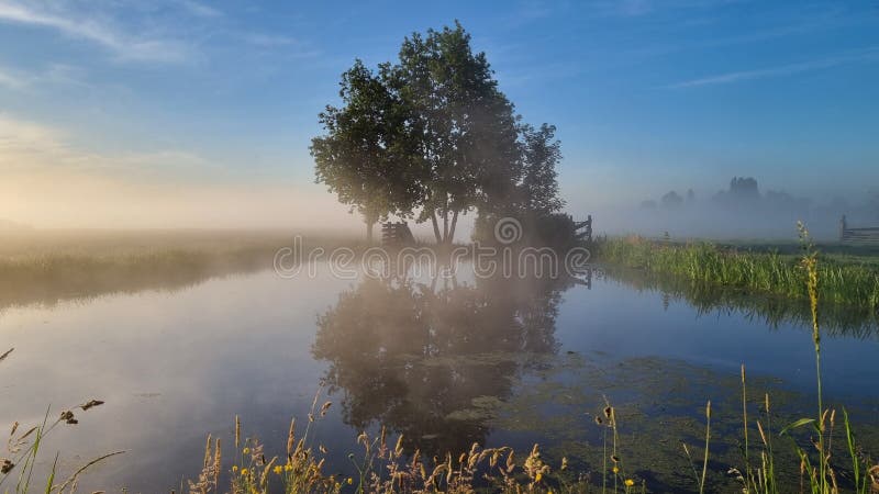 Nature Morning Sunrise Tree Relax Stock Image - Image of landscape ...