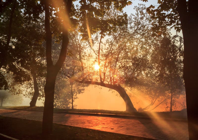 Nature,morning,sunrise stock image. Image of morning - 44281037