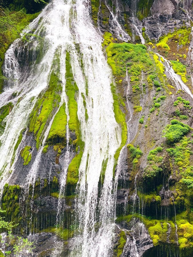 Nature Moss with Beauty Waterfalls Stock Photo - Image of moss, mini ...