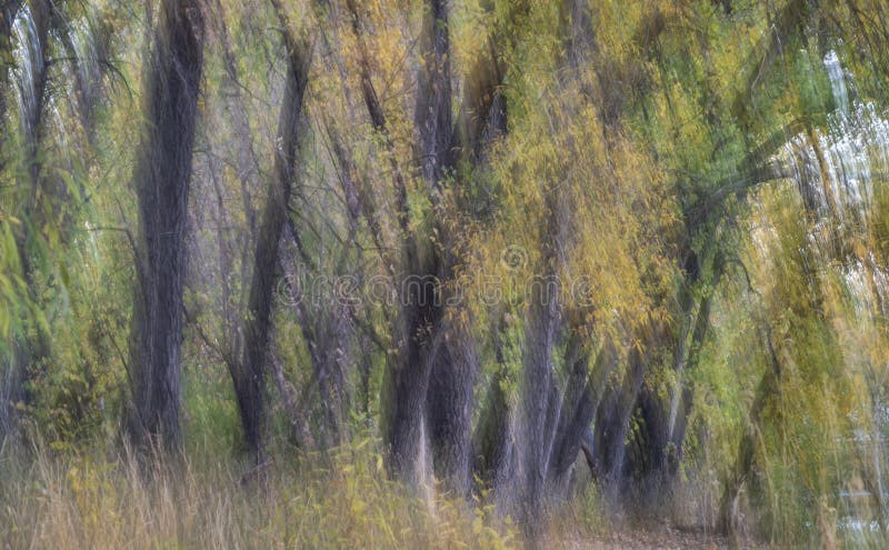 Nature Motion Blur Abstract Stock Photo - Image of pastel, texture ...
