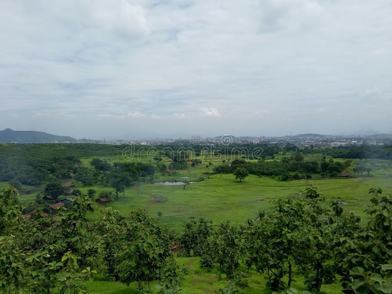 Nature stock photo. Image of nature, greenary, environment - 157646896