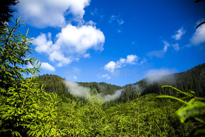 Nature stock image. Image of green, loess, mountains - 69203463