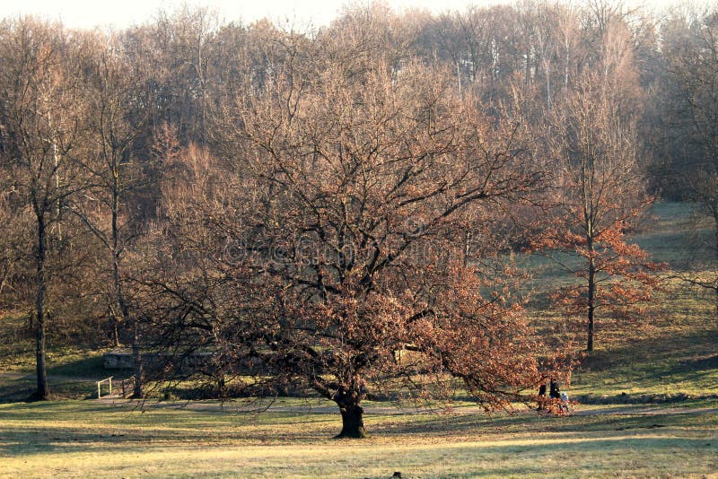 Lazar Jovicic Stock Photos - Free & Royalty-Free Stock Photos from ...