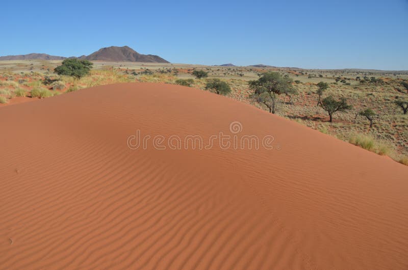 Nature of Namib Desert, Namibia, Africa Stock Photo - Image of dunes ...