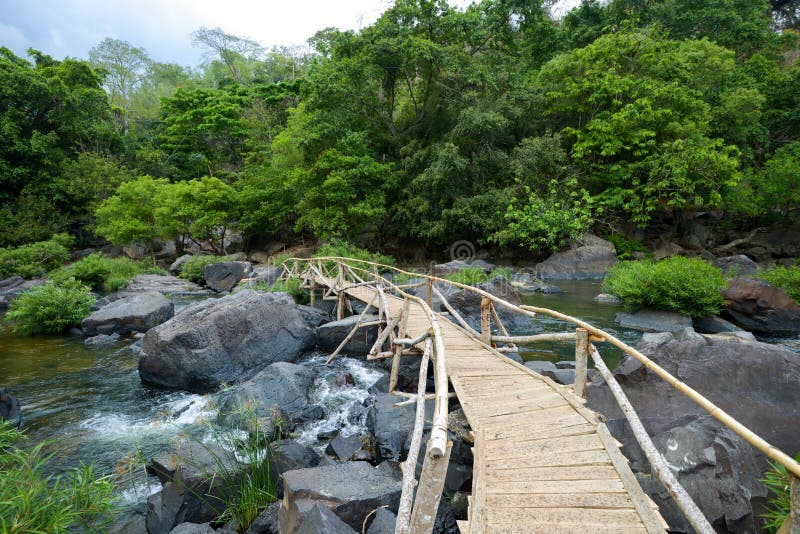 Nature National Park Bridge Transitional Over the River Stock Photo ...