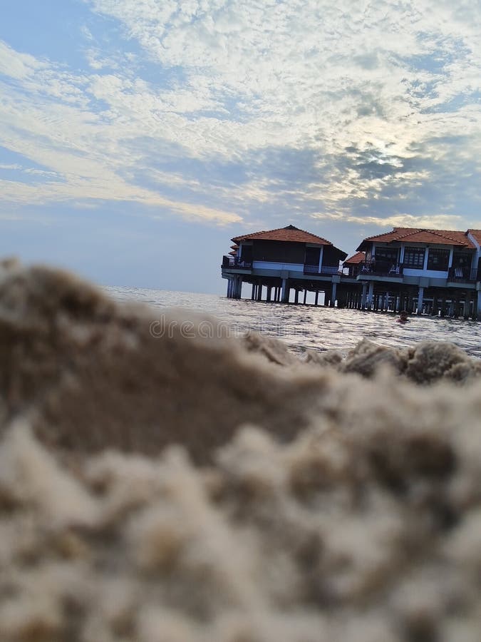 Nature with Natural Adaption Stock Image - Image of nature, adaptiin ...