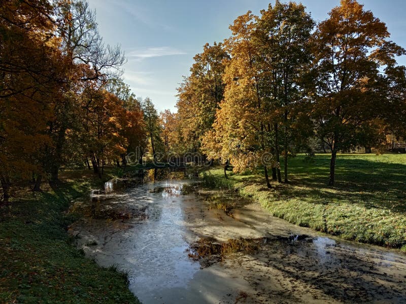 Nature stock image. Image of nice, tree, nature, color - 148257415