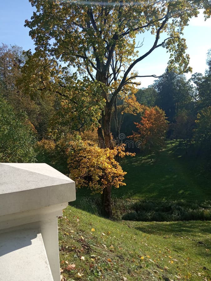 Nature stock photo. Image of nice, tree, nature, color - 148257766