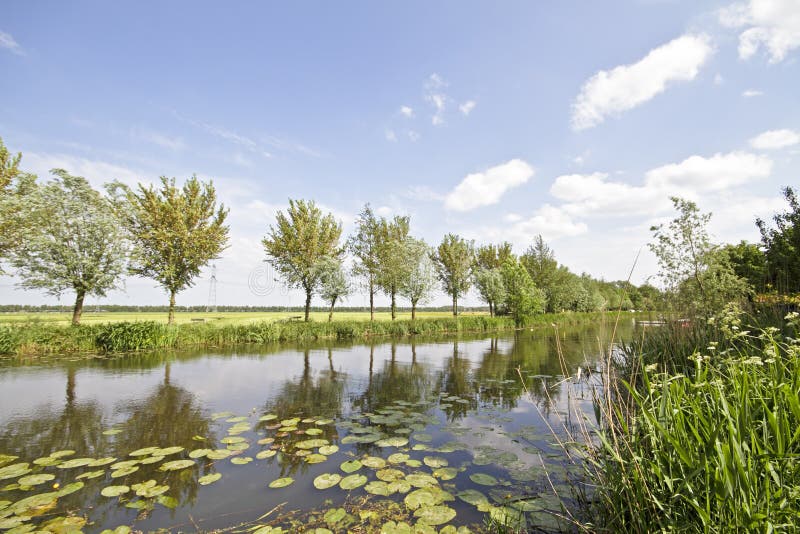 Nature in the Netherlands stock image. Image of nature - 25094211