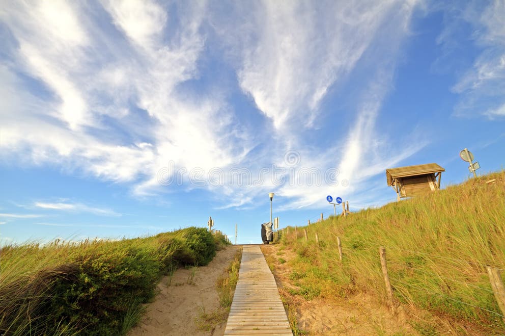 Nature in the Netherlands stock image. Image of nature - 25094211