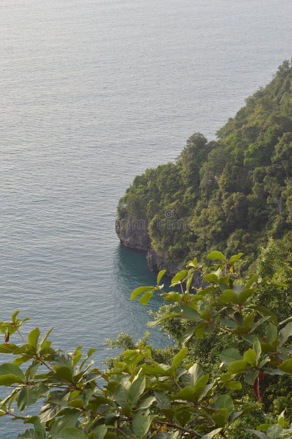 Nature Never Fail To Healing Stock Photo - Image of healing, fail ...