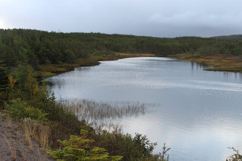 Nature in NewFoundLand, Canada Stock Photo - Image of ganter, buildings ...