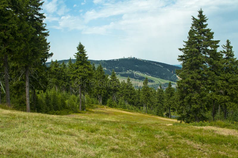 Nature stock photo. Image of forest, green, countryside - 43573460