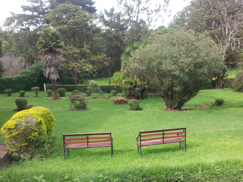 Nature stock photo. Image of senery, relaxation, nice - 130811376