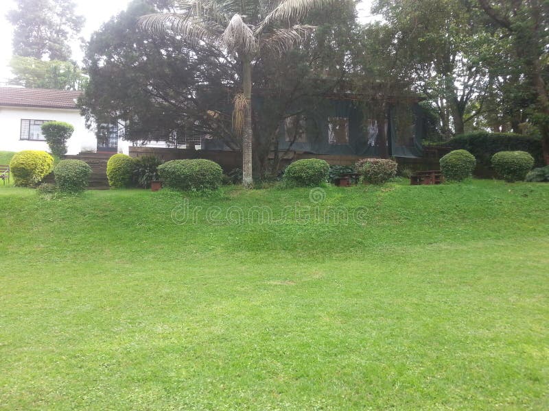 Nature stock image. Image of senery, nature, green, nice - 130811417