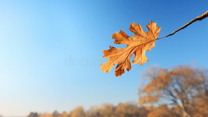 Nature oak leaf flying stock illustration. Illustration of vibrant ...