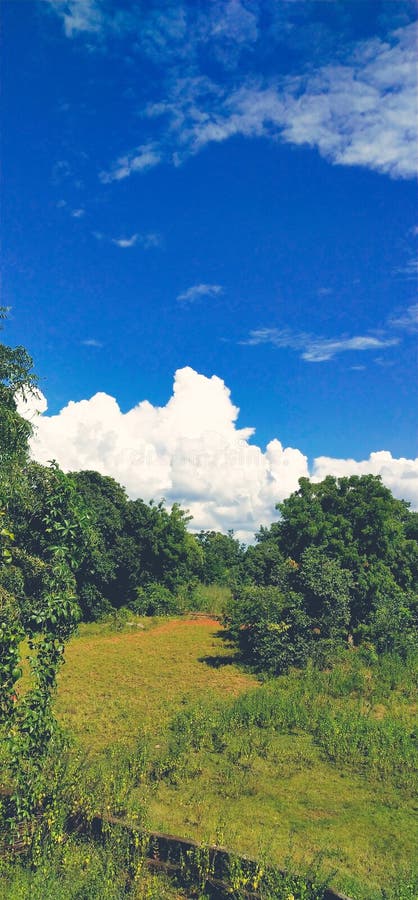 This is the Nature of Odisha, India Stock Photo - Image of silent ...