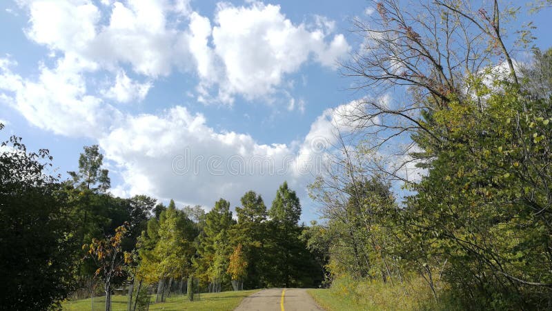Nature in Ohio stock image. Image of tree, grassland - 101143369