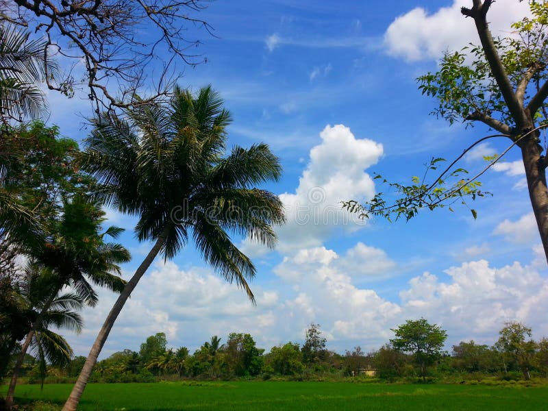 Nature stock photo. Image of daytime, nature, saving - 114452470