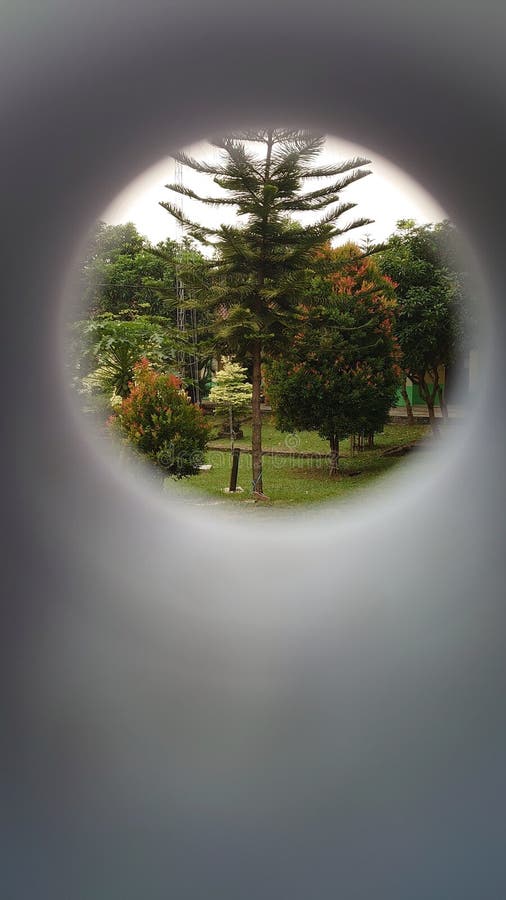 Nature other sides stock image. Image of beautiful, nature - 281255181