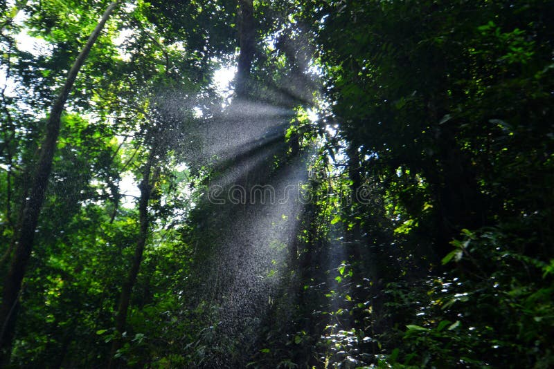 Nature and outdoor stock photo. Image of gaps, clean - 250503994