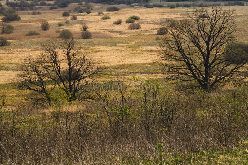 Nature Panoramic Landscape View from High. Field with Plants and Trees ...