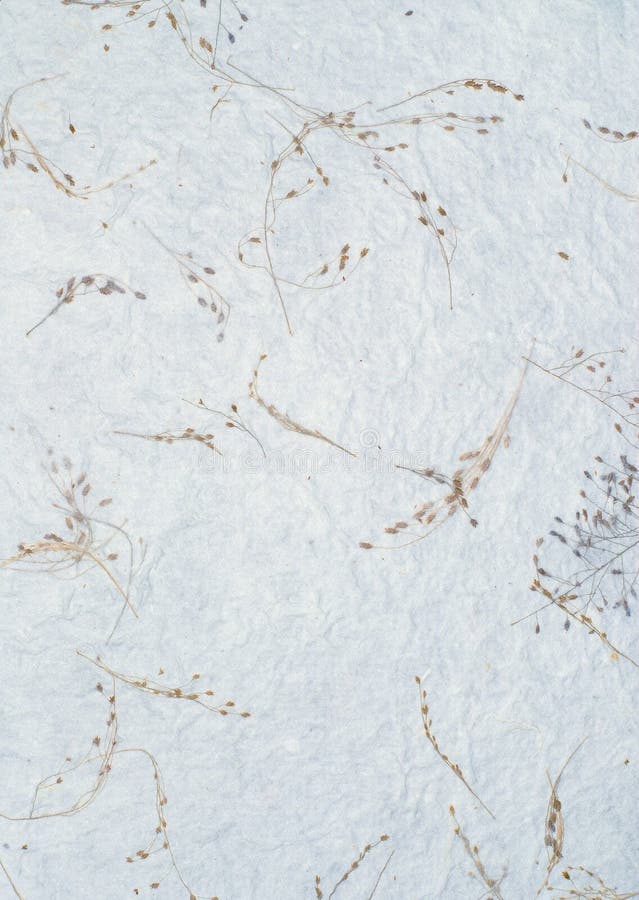 Nature Paper stock image. Image of twigs, texture, branches - 2000845