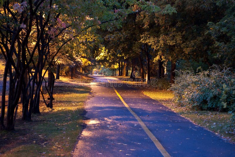 Nature Park Bike Trail at Night Stock Photo - Image of asphalt, canada ...