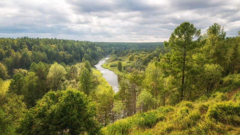 Nature Park `Deer Streams` Russia, Ural Stock Image - Image of pine ...