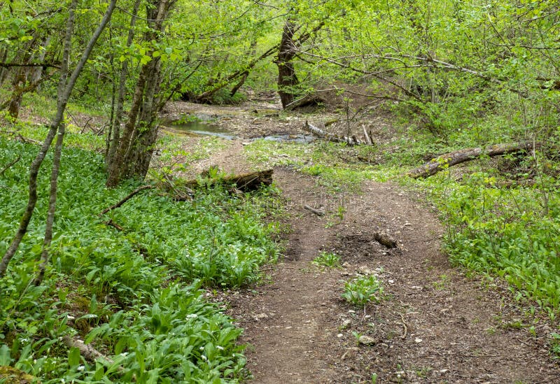 Nature Park , Spring Mood, a Walk Along the Riverbed with an Overview ...