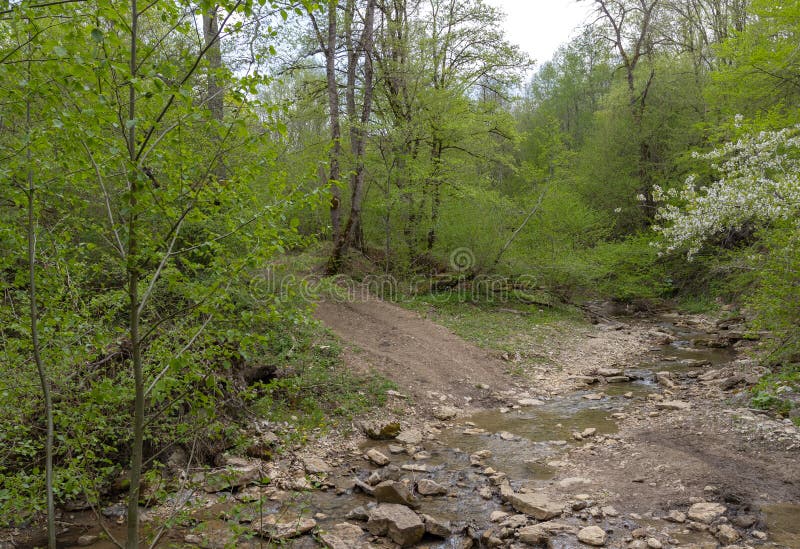 Nature Park , Spring Mood, a Walk Along the Riverbed with an Overview ...