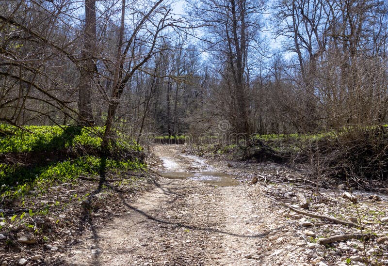 The Structure of the Bottom and Spring Walks Along the Canyon of the ...