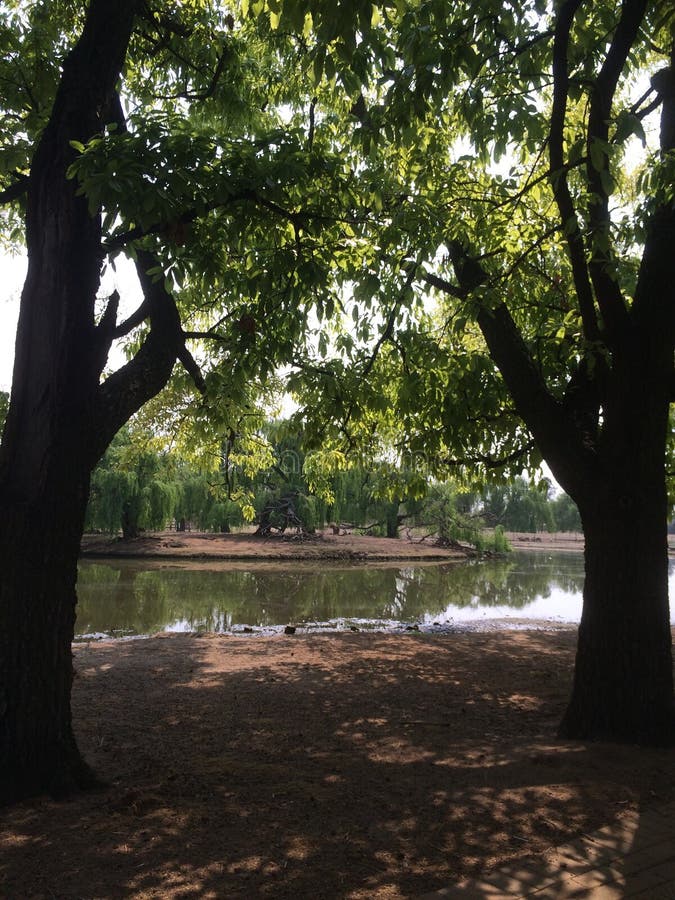 Nature park stock image. Image of trees, leaves, pond - 88446963
