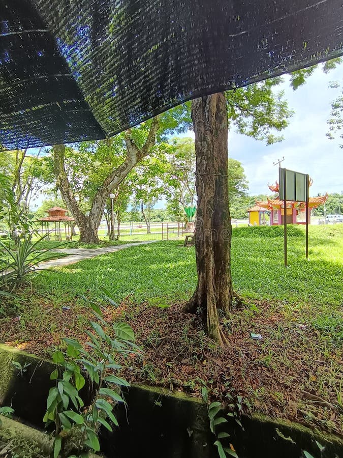 Nature Park Village Playground Happy Stock Photo - Image of happy, park ...