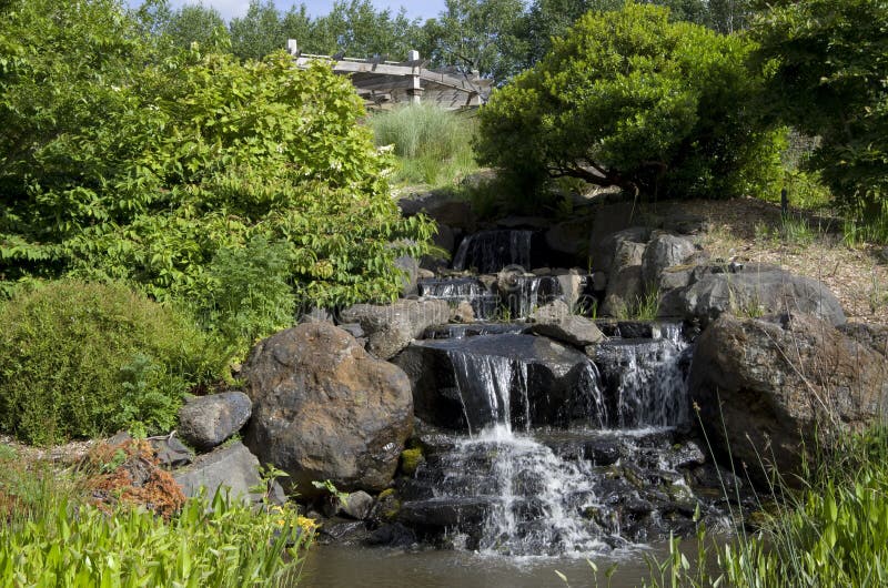 Nature park with waterfall stock photo. Image of design - 73404994