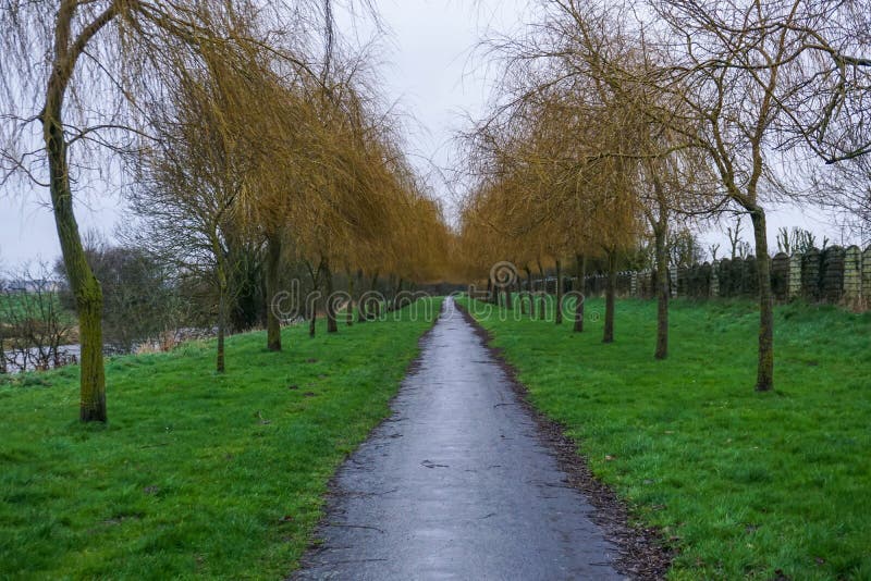 Nature Path through the Middle of the Park Stock Image - Image of ...