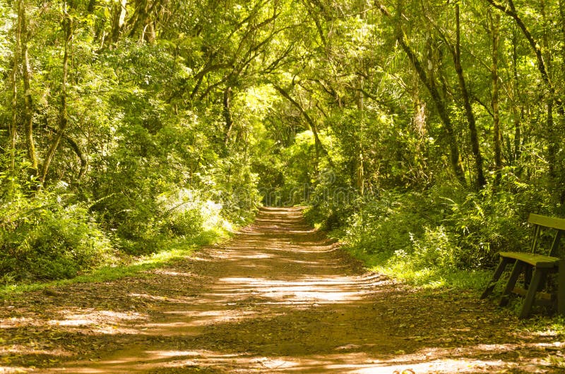 Breathtaking Nature Scenes Path