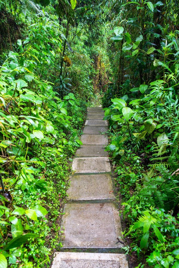 Path in Rural Colombia stock image. Image of outdoor - 79758753