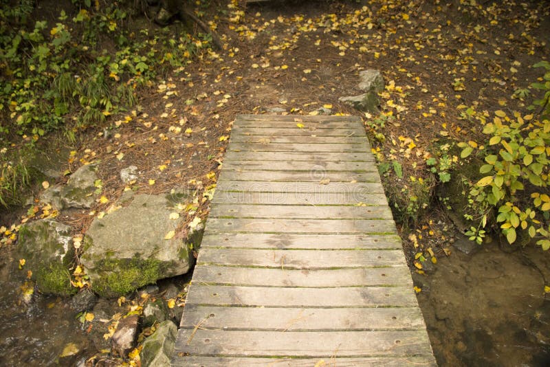 Leaf, Nature, Path, Tree Picture. Image: 102642650