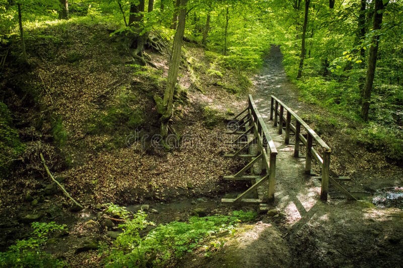 Nature, Path, Nature Reserve, Vegetation Picture. Image: 110613831