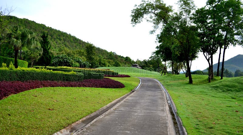 Path on a resort stock photo. Image of summer, masion, room - 192898