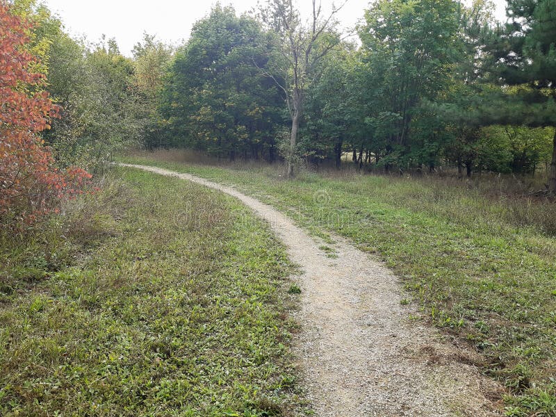 Nature Path Though in Forest Pathway in Pine Trees in Hostens Gironde ...