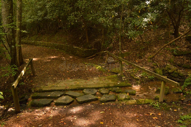 Nature paths crossing. stock image. Image of rock, path - 264367153
