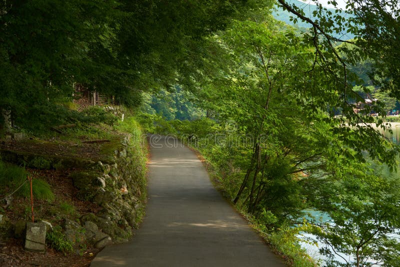 Nature Pathway with Beautiful Scenery Stock Image - Image of outdoor ...